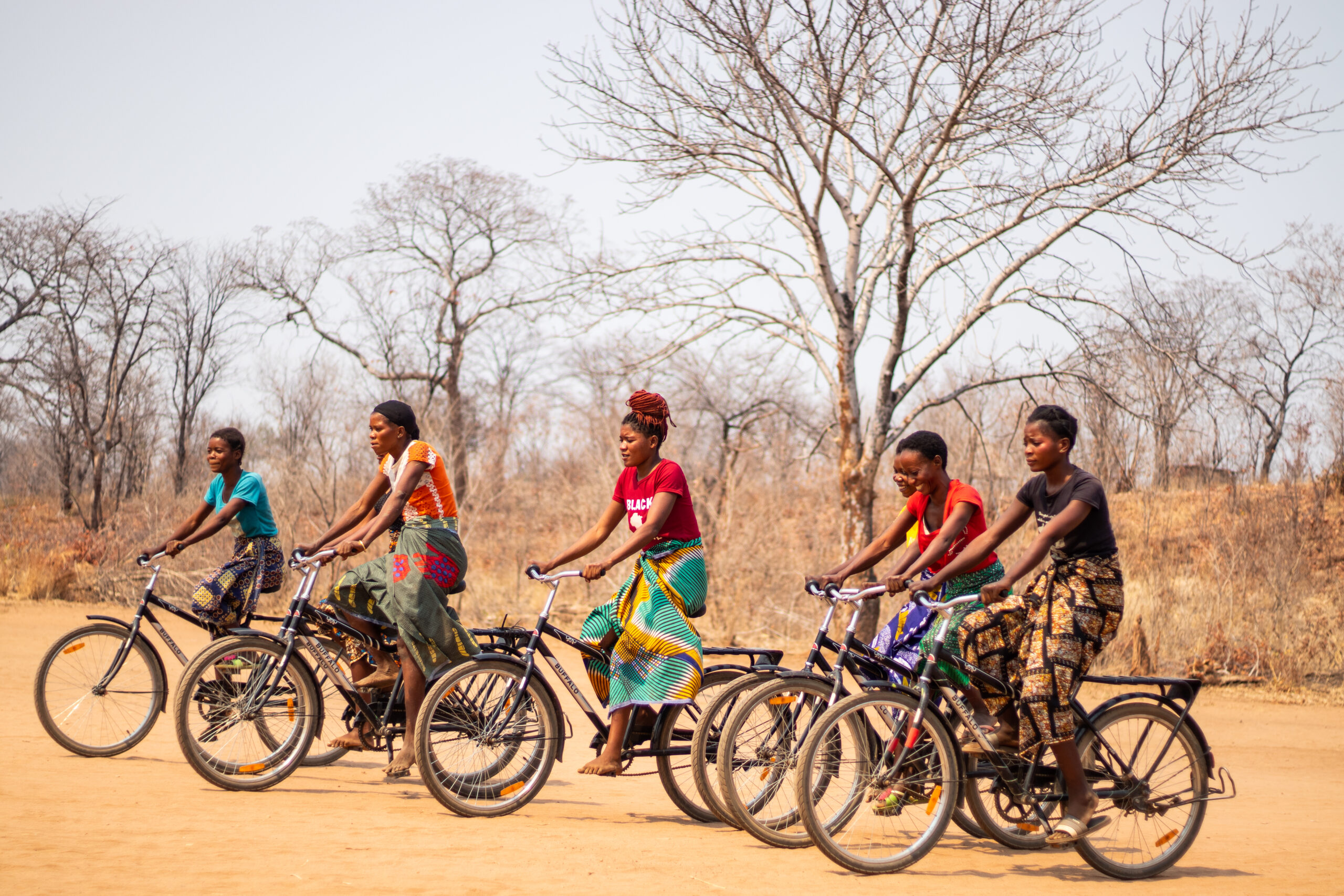 REDD+ as a Catalyst for the Local Value Supply Chain | Biocarbon Partners