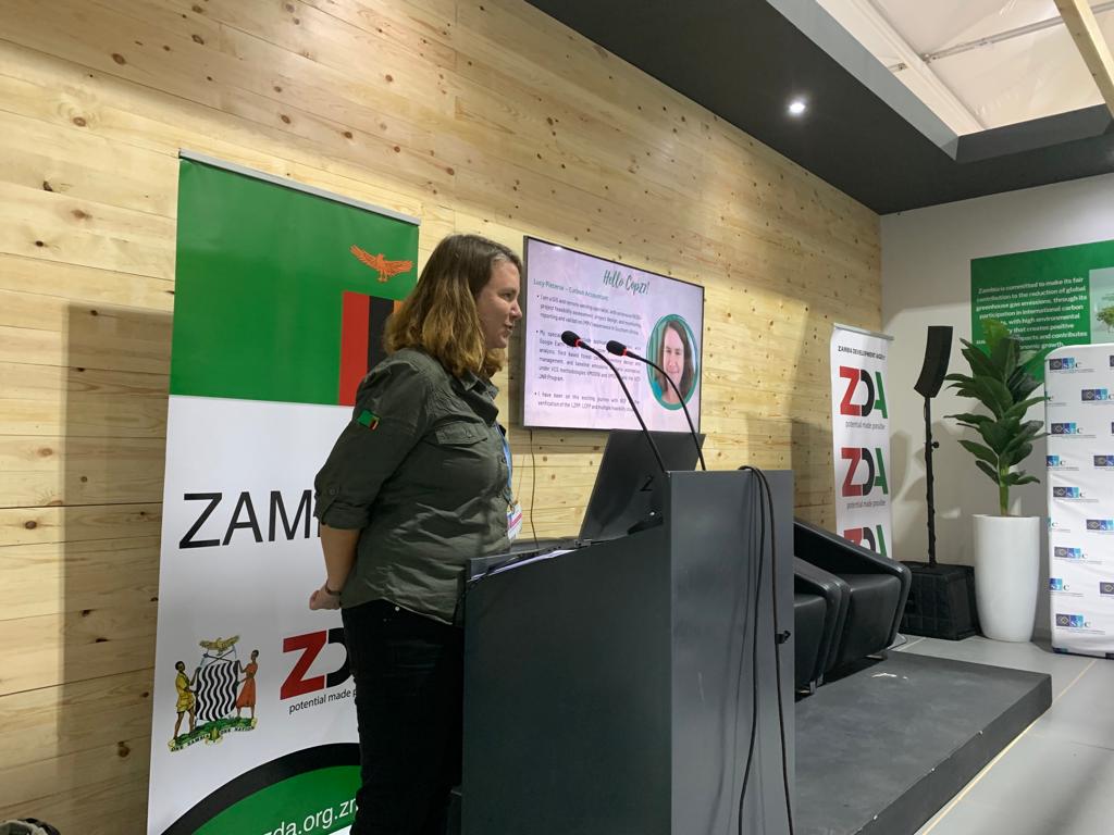 COP 27 – What you need to know from BCP | Biocarbon Partners