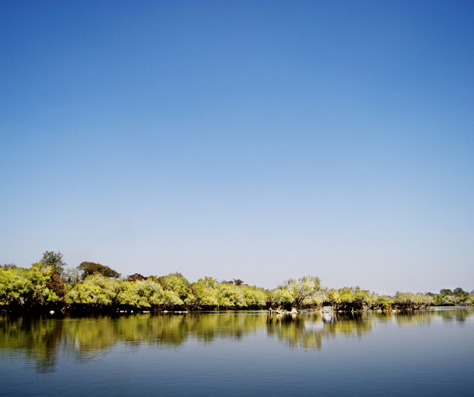 Kuomboka Ceremony in Western Province | Biocarbon Partners