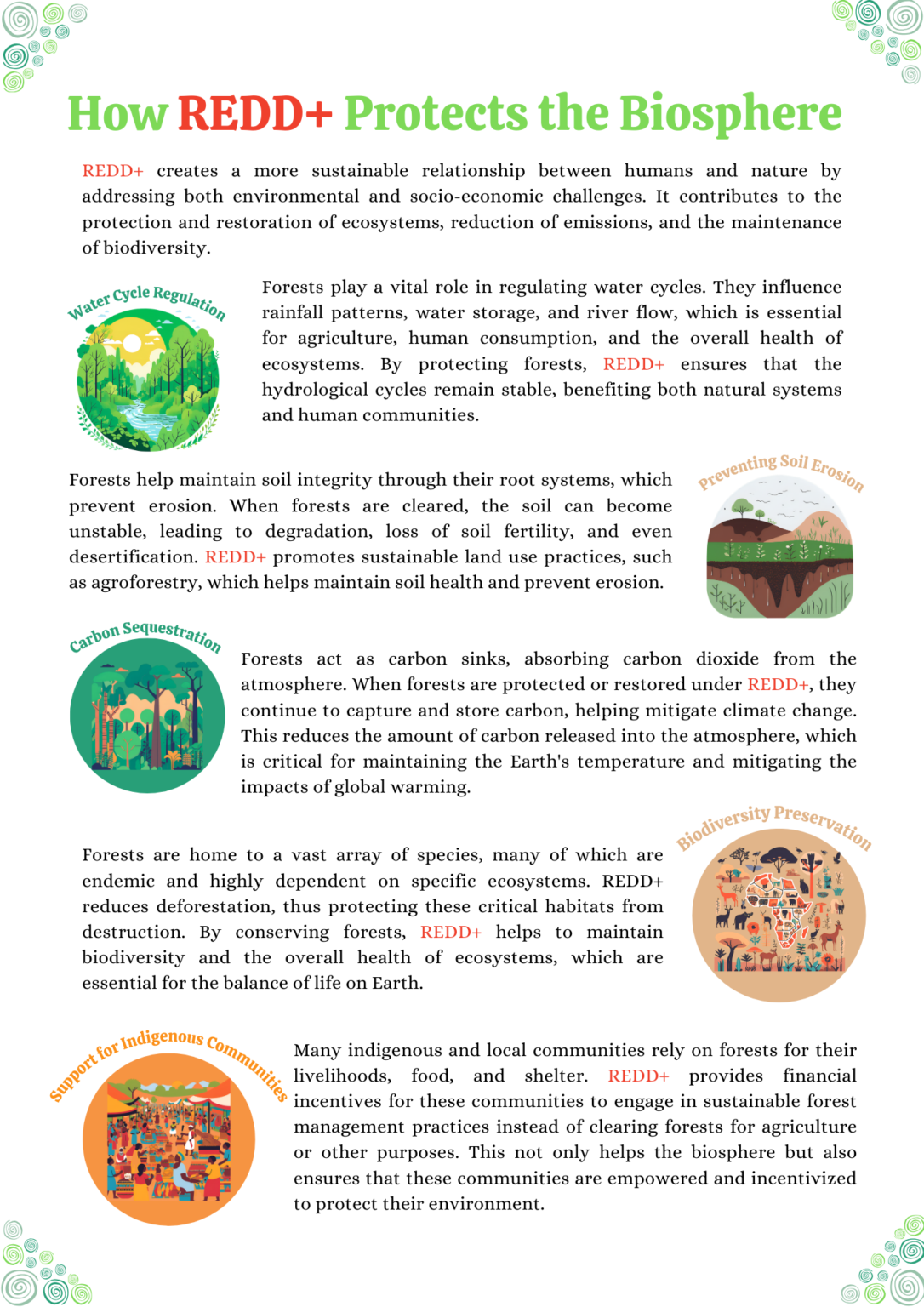 The Biosphere and Climate Change | Biocarbon Partners
